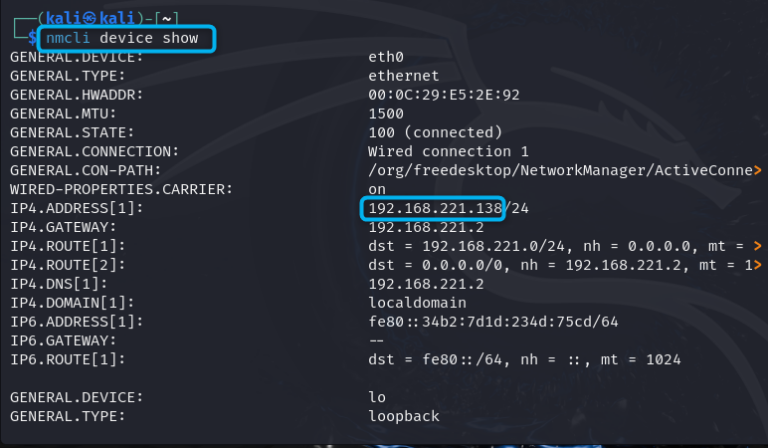 How to Find IP Address in Kali Linux – LinuxWays