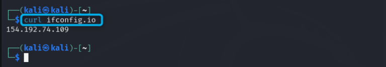 How to Find IP Address in Kali Linux – LinuxWays