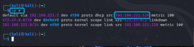 How to Find IP Address in Kali Linux – LinuxWays