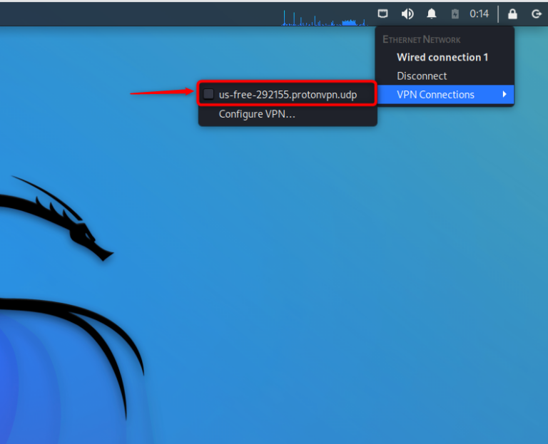 How to Install and Setup VPN on Kali Linux – LinuxWays