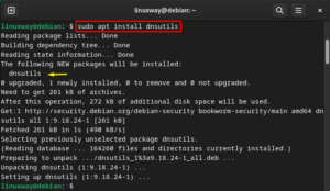 How to Install and Use Dig on Debian 12 – LinuxWays