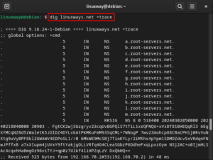 How to Install and Use Dig on Debian 12 – LinuxWays