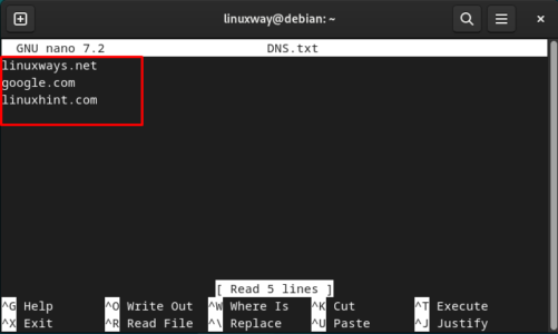 How to Install and Use Dig on Debian 12 – LinuxWays