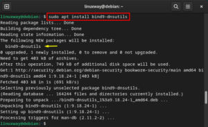 How to Install and Use Dig on Debian 12 – LinuxWays