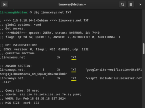 How to Install and Use Dig on Debian 12 – LinuxWays
