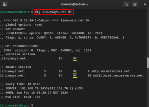 How to Install and Use Dig on Debian 12 – LinuxWays