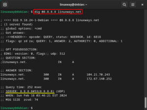 How to Install and Use Dig on Debian 12 – LinuxWays