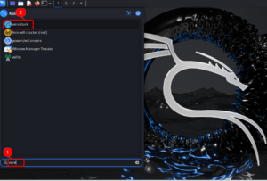 How to Install and Use Wireshark on Kali Linux – LinuxWays
