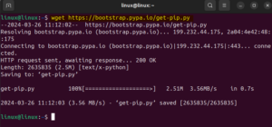 How to install Pip and Use on Ubuntu 24.04 – LinuxWays